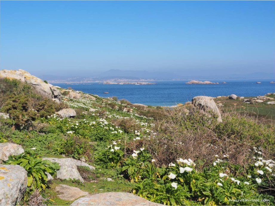 Cómo visitar la ISLA DE SÁLVORA ⭐️ un repleto de leyendas