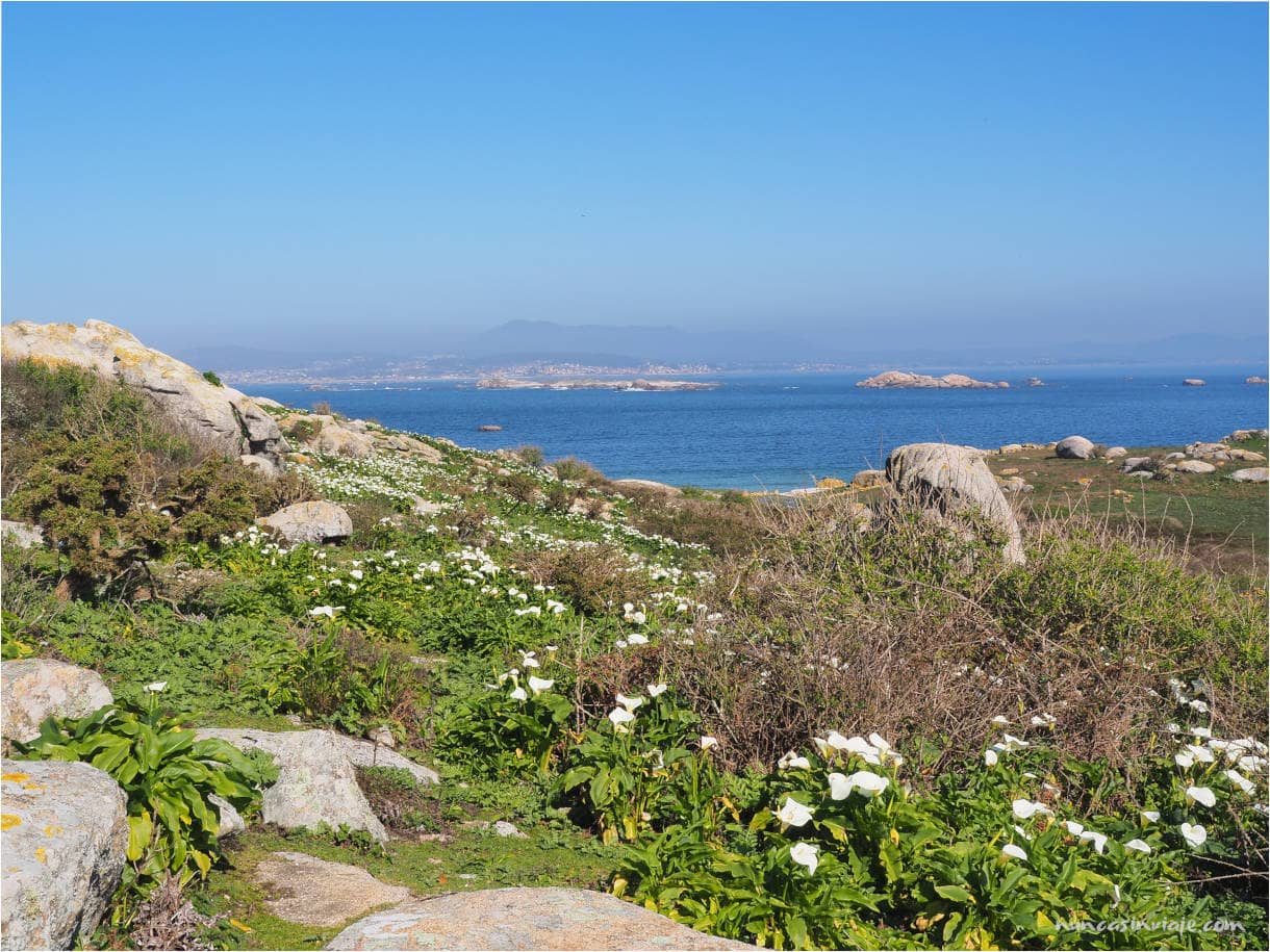 Cómo visitar la ISLA DE SÁLVORA ⭐️ un repleto de leyendas