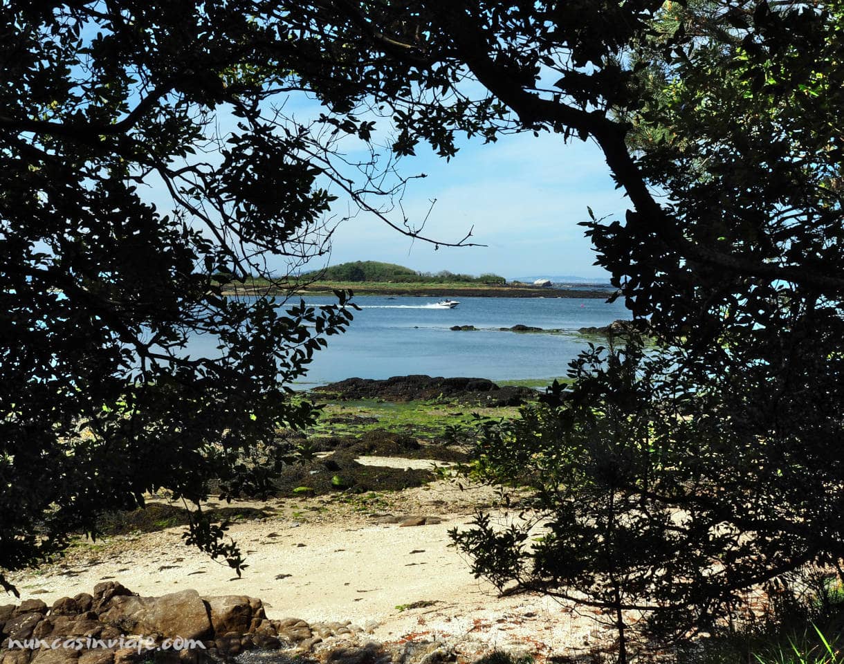 Visitar la isla de Cortegada, el bosque flotante de las Rías Baixas