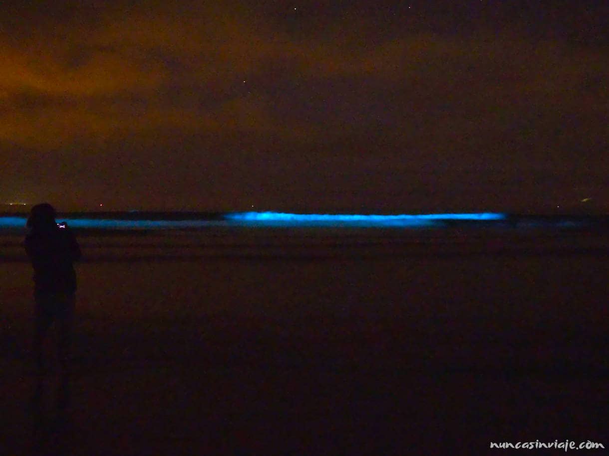 Ver mar de ardora en Carnota: cómo, cuándo y qué se ve - Nunca sin viaje