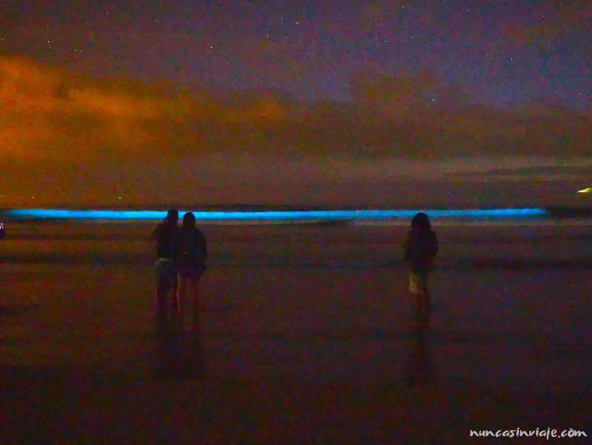 Ver mar de ardora en Carnota: cómo, cuándo y qué se ve - Nunca sin viaje