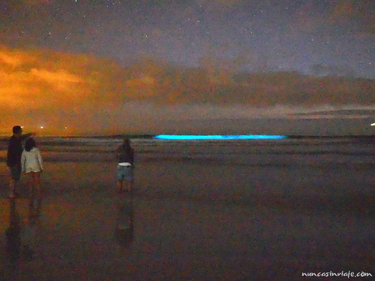 Ver mar de ardora en Carnota: cómo, cuándo y qué se ve - Nunca sin viaje