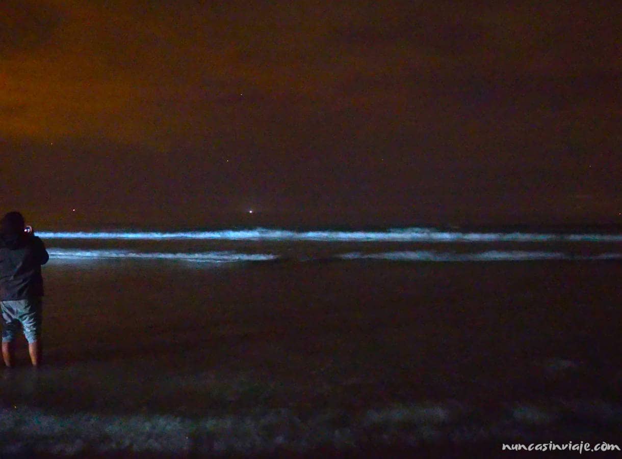 Ver mar de ardora en Carnota: cómo, cuándo y qué se ve - Nunca sin viaje