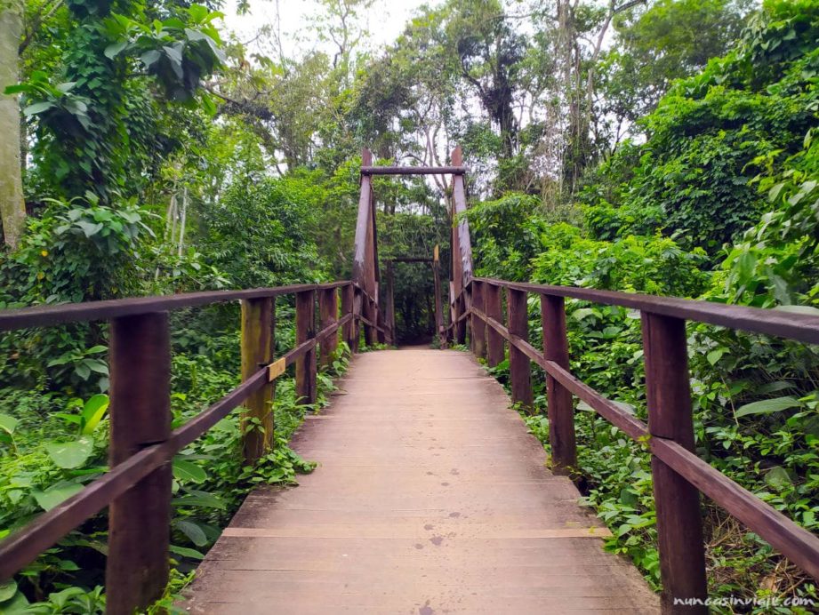 Excursión a la playa de Castelhanos en Ilhabela - Nunca sin viaje